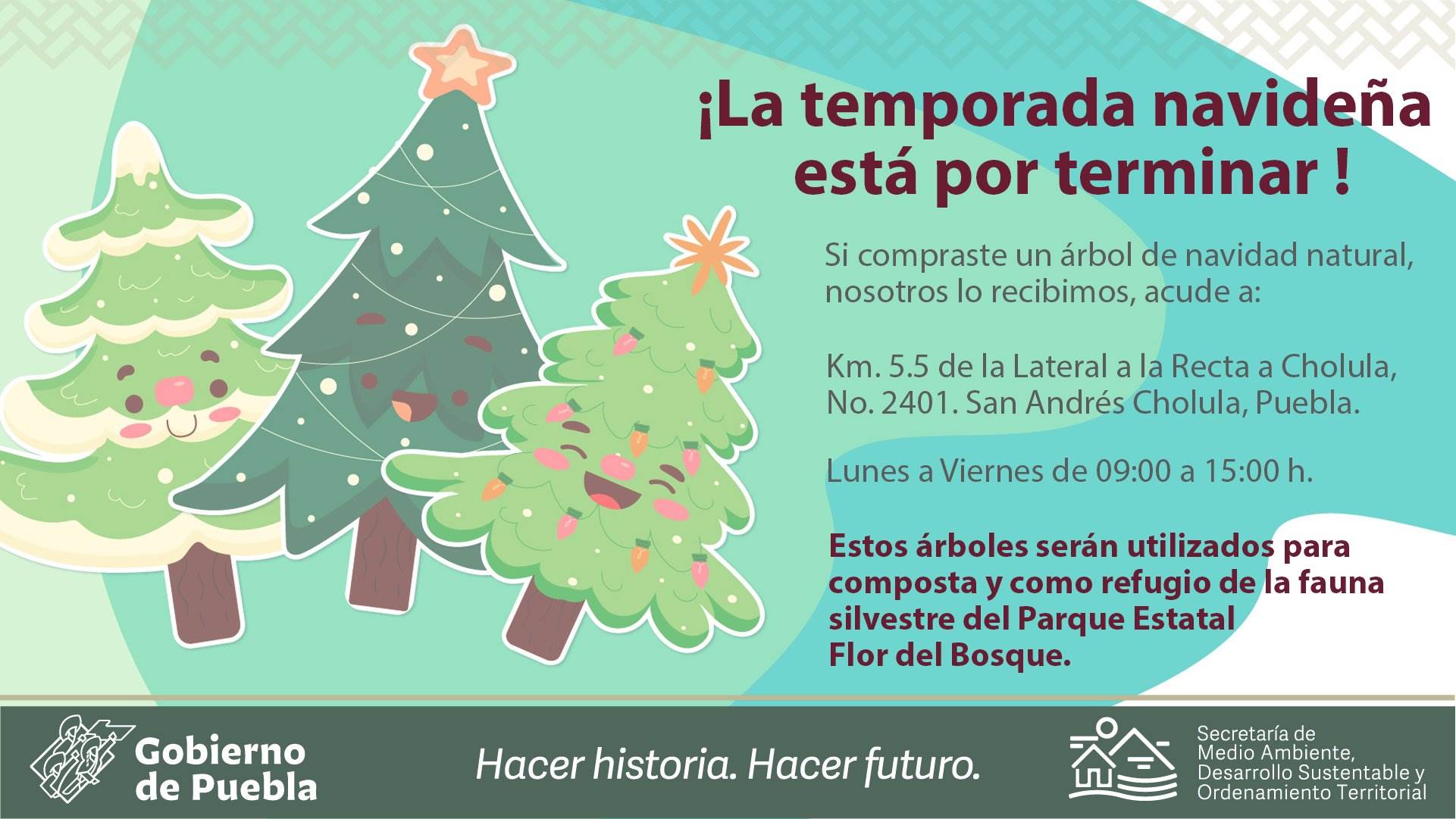 Lugares En Puebla Para Reciclar Tu árbol De Navidad