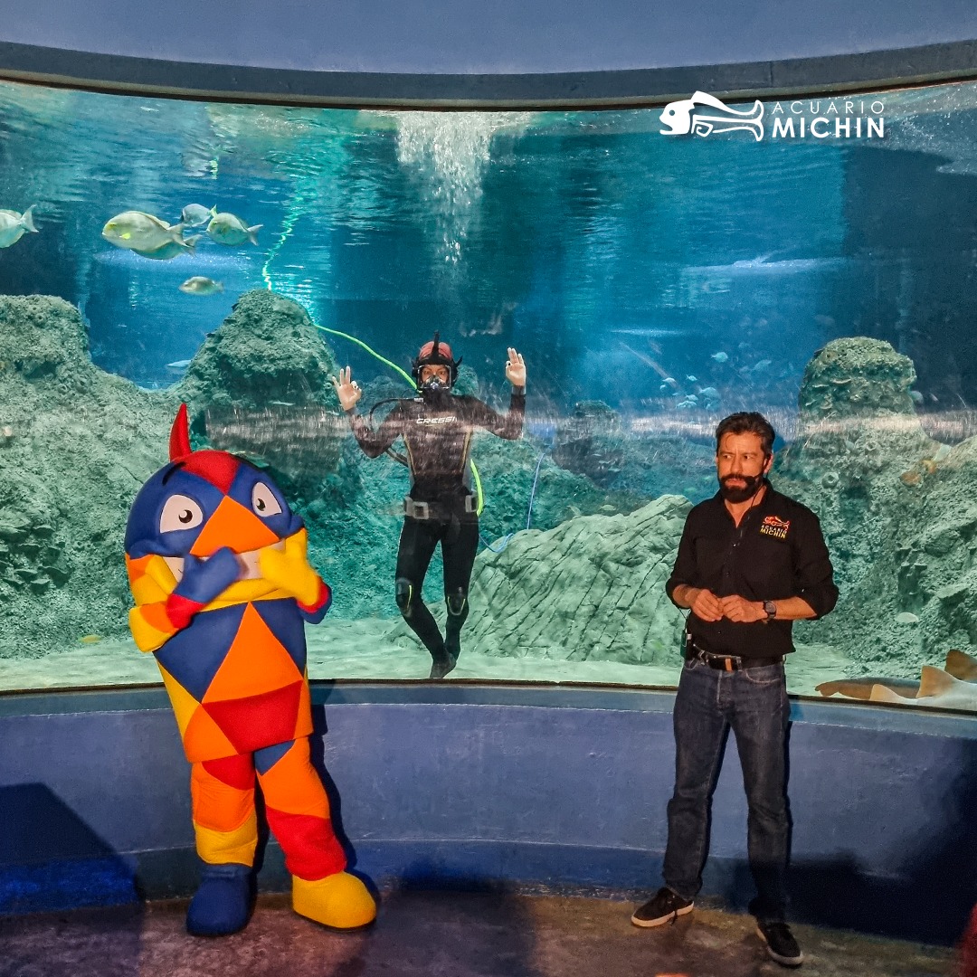 Acuario Michin presenta su nuevo atractivo: “Una voz por el océano”