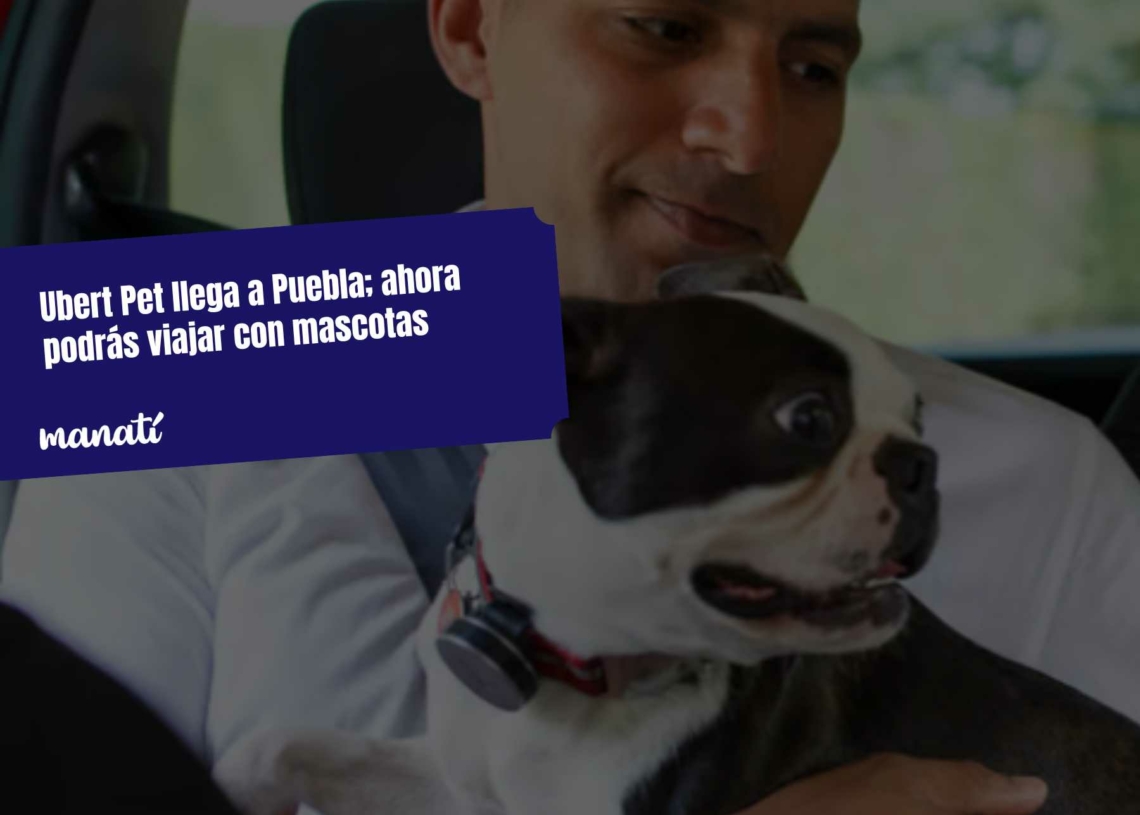 ¿Qué significa "Me Goofy" y "Estás como me Goofy"?